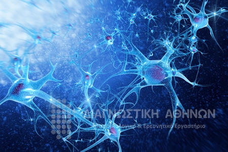 NeuroScan® - Nervous System Tests | Purchase the test online ...